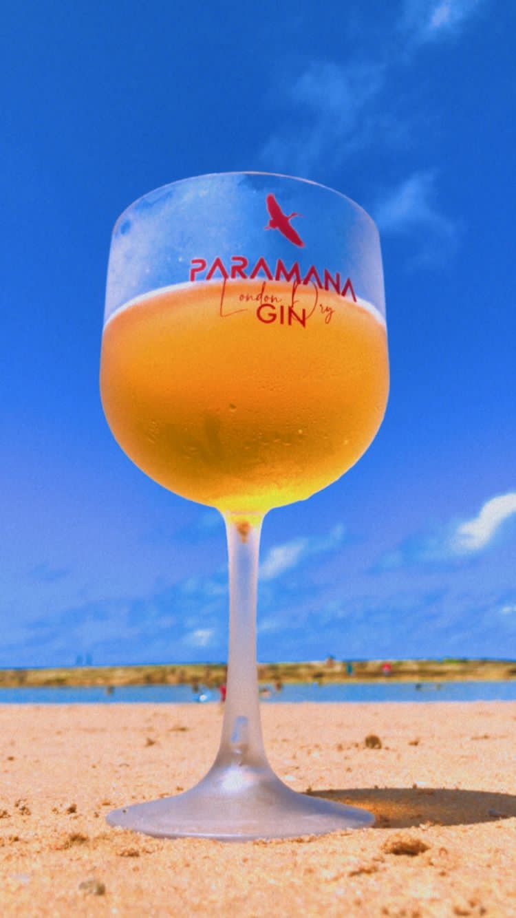 Paramana Gin vai assinar o Welcome Drink do Conexões do Anota Bahia ...