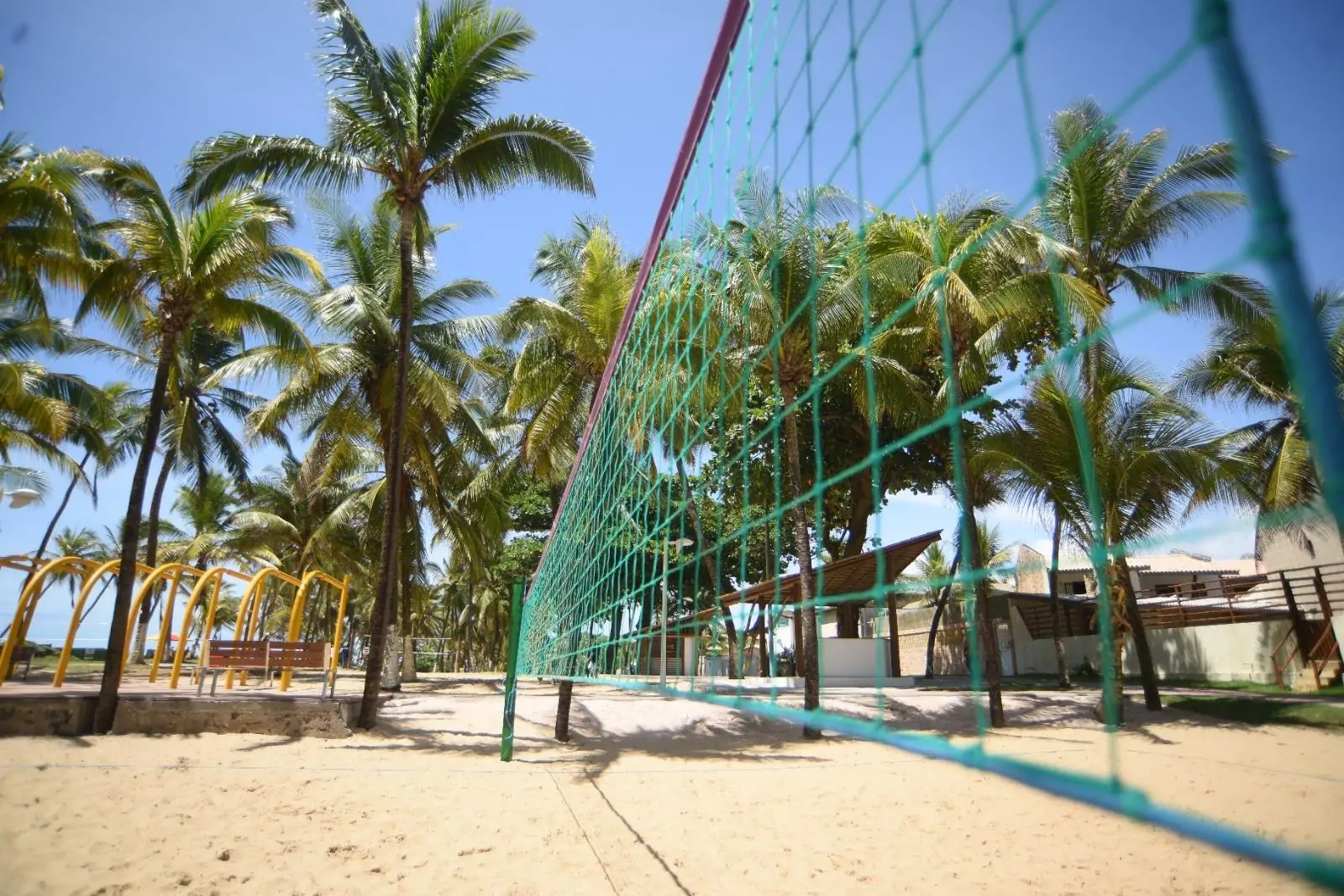 Orla da Praia do Flamengo é requalificada e ganha viveiro