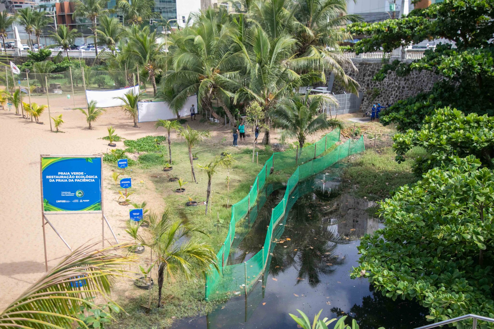 Praia da Paciência recebe nova etapa do projeto ambiental Praia Verde ...